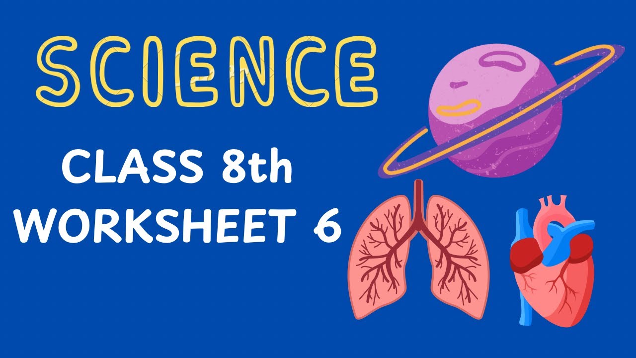 8TH CLASS SCIENCE (SHEET6)। COMPETENCY EXAMS 2024। SOLUTION OF 6TH ...