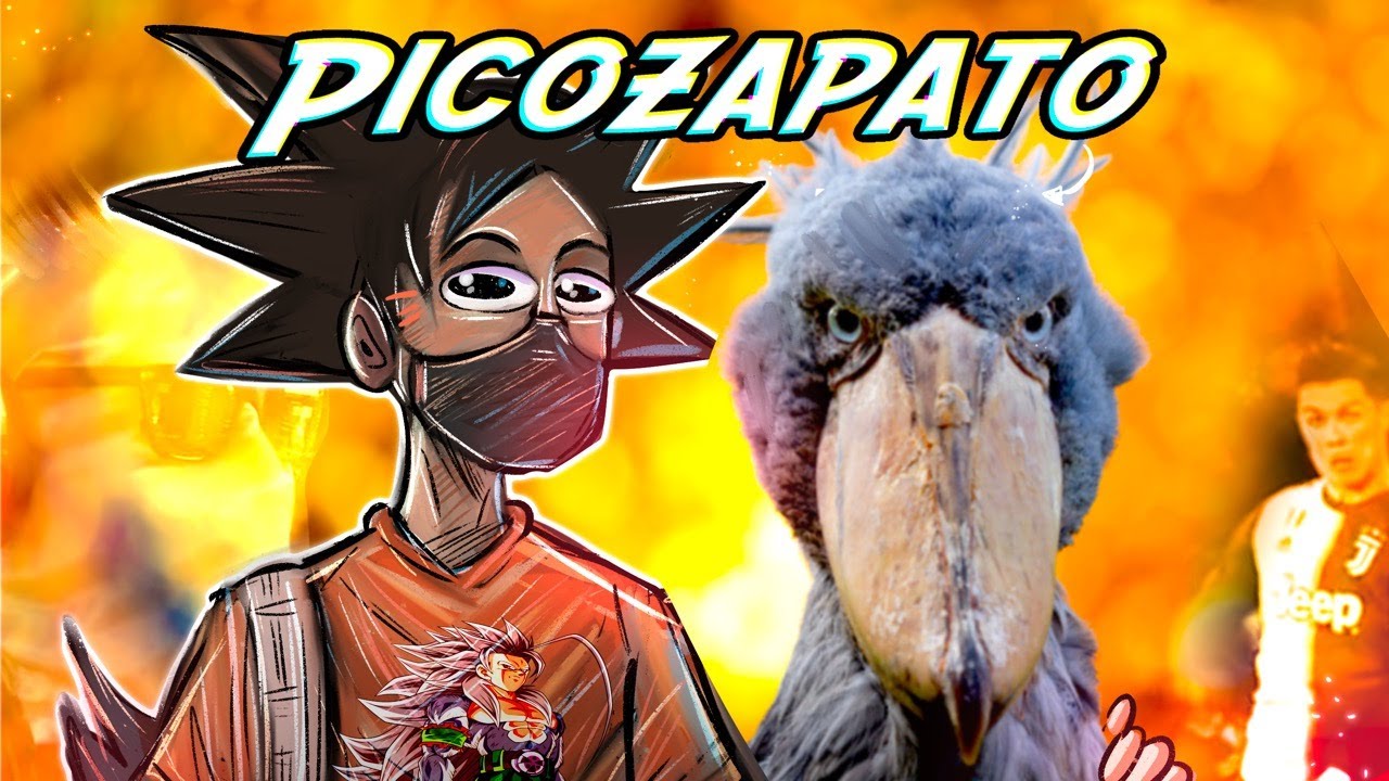 EL PICOZAPATO - YouTube