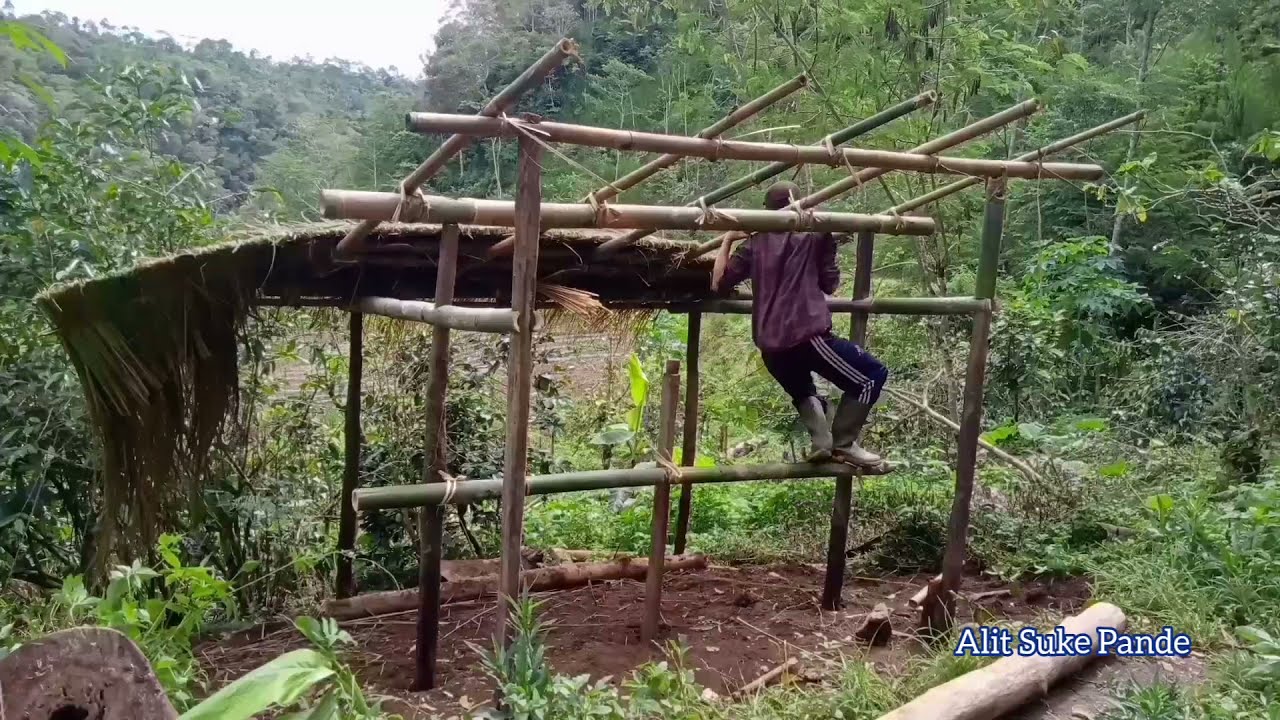 Cara membangun rumah sapi minimalis - YouTube