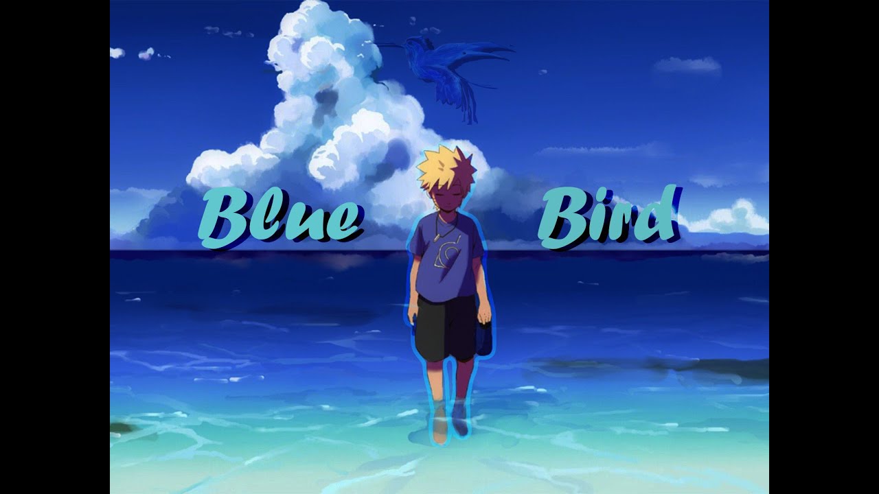 Blue Bird Cover| Incredible and Relaxing Sea View - YouTube