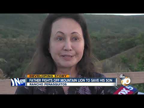 Father fights off mountain lion to save his son