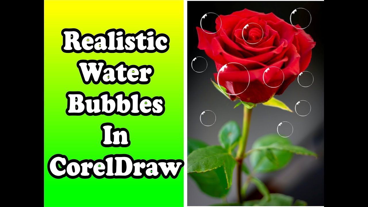 How to Make bubbles in corel draw | Create Realistic Water Bubbles in ...