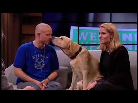 Dog gives paw in middle of an interview - YouTube
