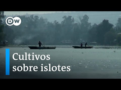Chinampas prehispánicas