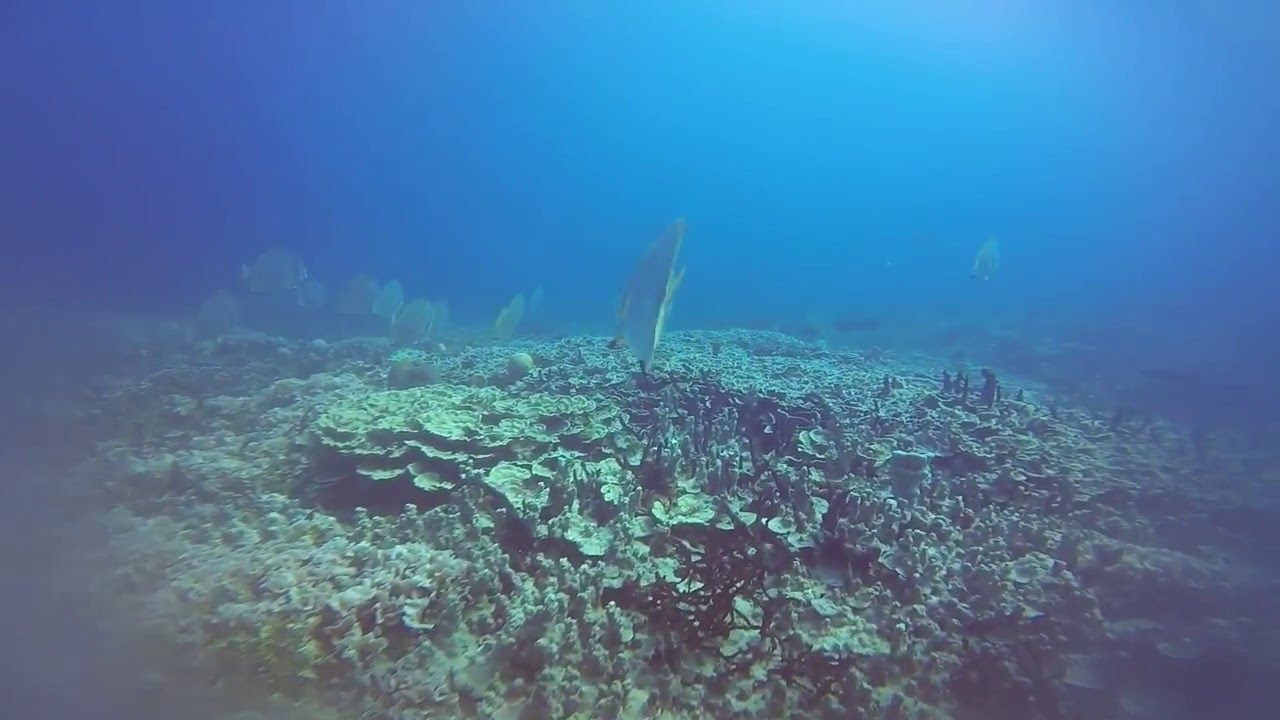 Gab Gab II, Guam Dive - YouTube