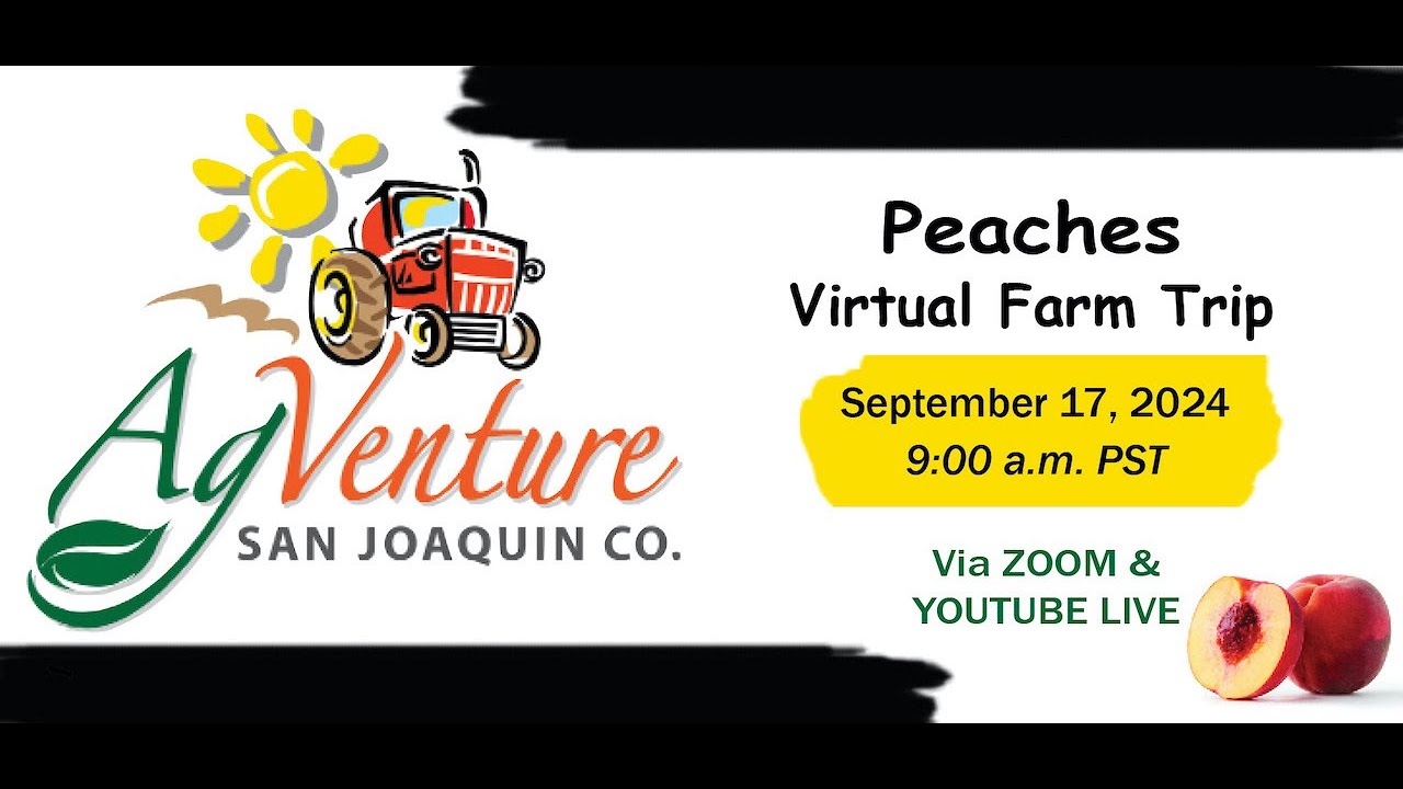 LIVE: AgVenture Fall Virtual Farm Trip - Peaches - YouTube