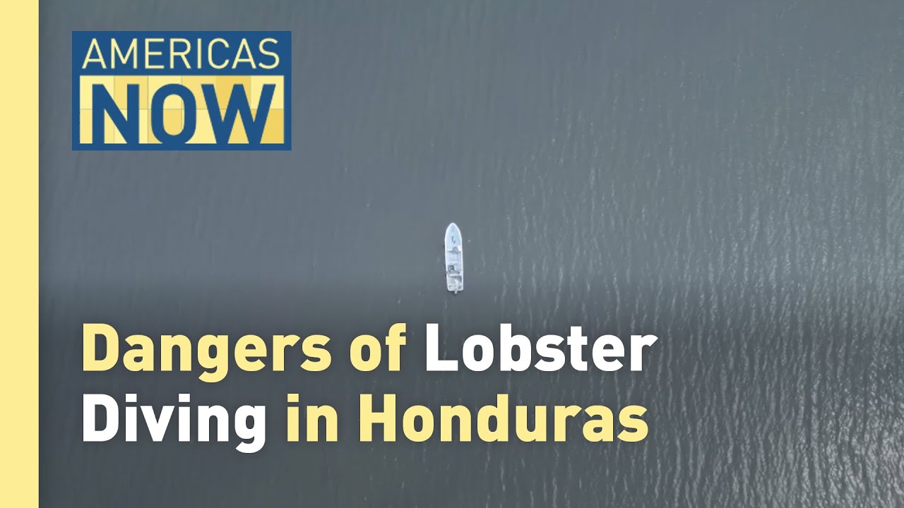 Danger Below: The Deadly Risks for Honduras' Lobster Divers - YouTube