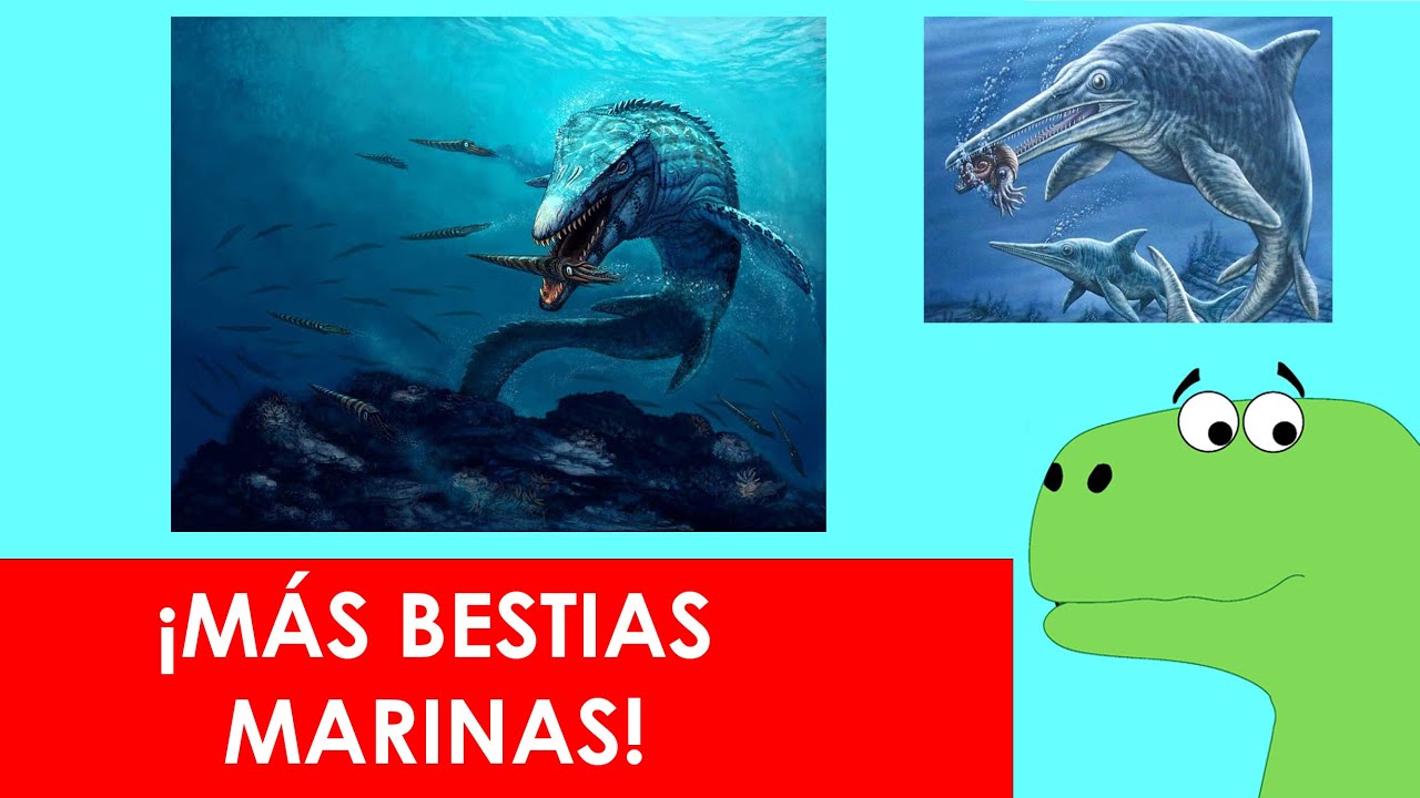 6 Animales Marinos Aterradores Que Ya Están Extintos Parte 2 - El Mundo ...