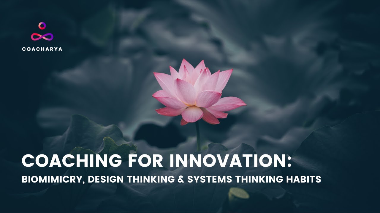Coaching for Innovation: Biomimicry, Design Thinking & Systems Thinking ...