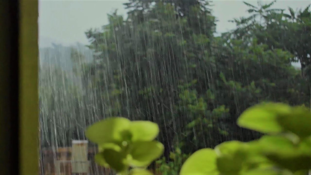 RAIN&SOUNDS/Listen to the rhythm of falling rain... - YouTube