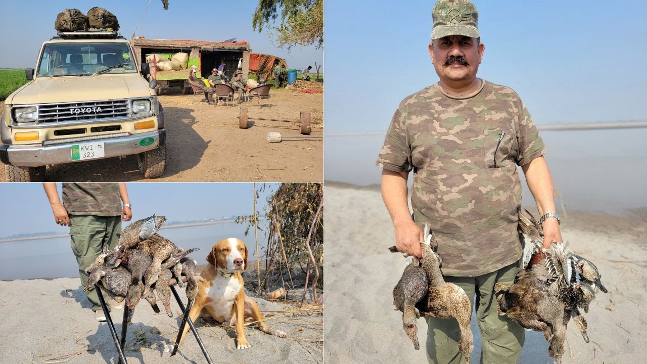 Best Duck Hunting In Pakistan 2023 | Waterfowl Hunting | River Chenab ...