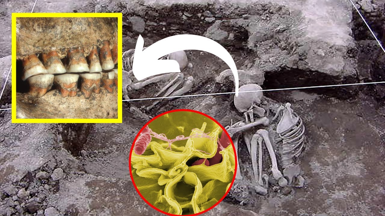 When Scientists Examined Aztec Teeth, They Unlocked The Secret To A ...