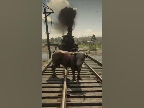 Mô phỏng những tay săn động vật hoang dã p409 , #shorts - YouTube