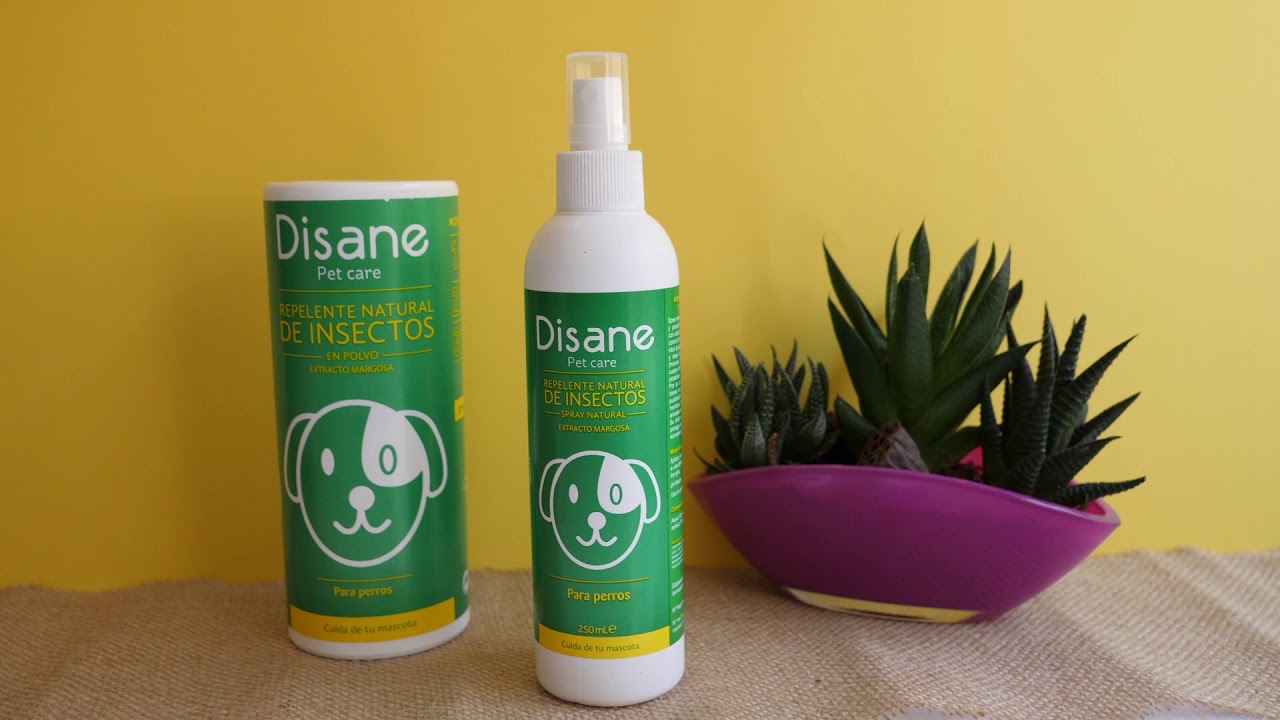 Tutorial Productos 100% Naturales Disane Pet Care - YouTube