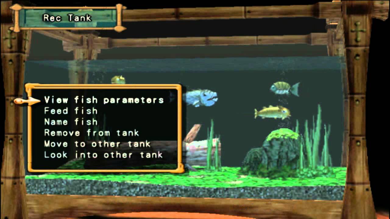 2000 Subscriber Video Fishing Games - YouTube