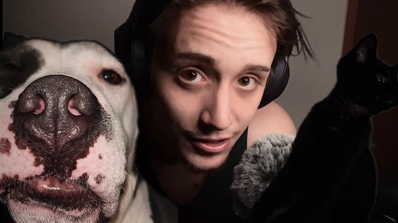 MEET MY PETS ASMR - YouTube