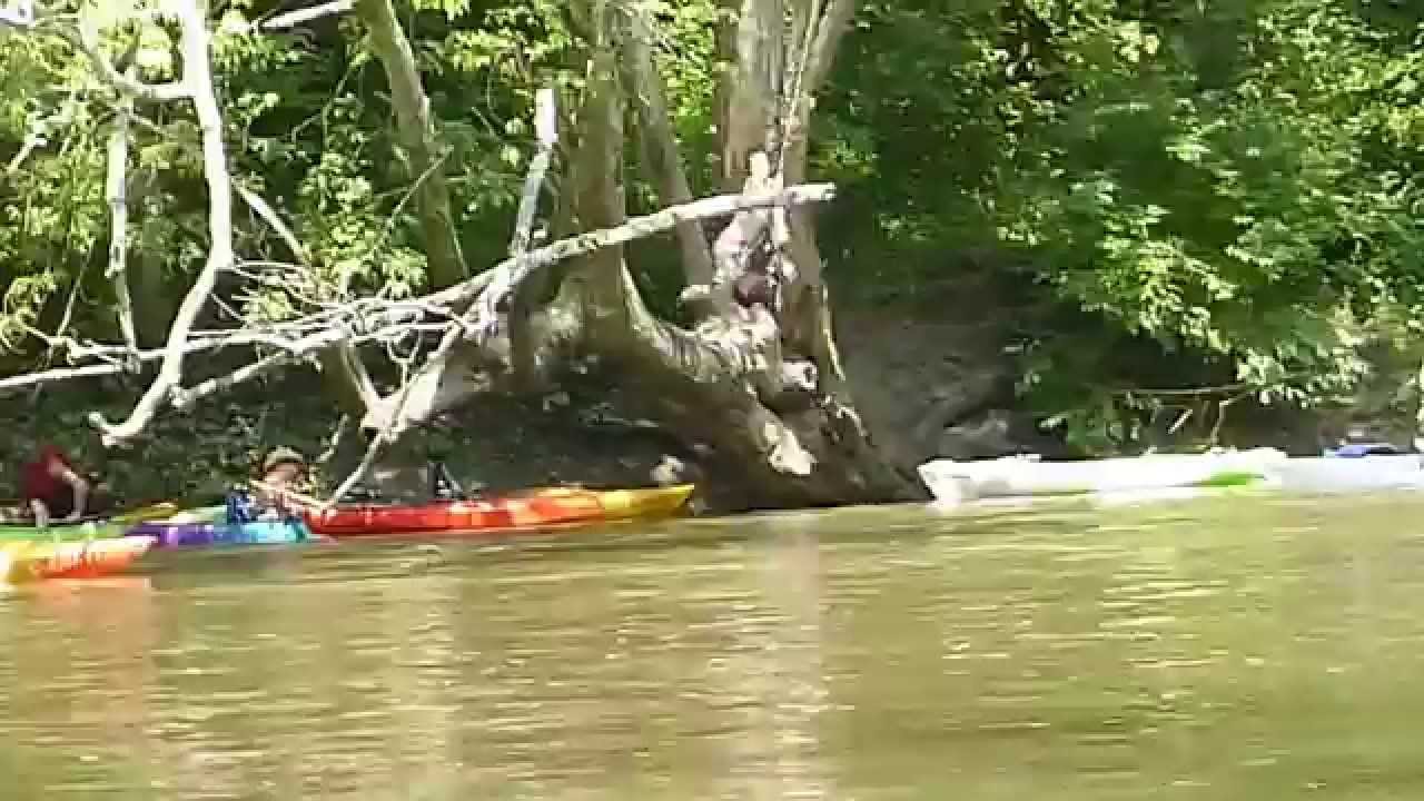 Ohio River Rats Little Miami on Rope Swing 1 - YouTube