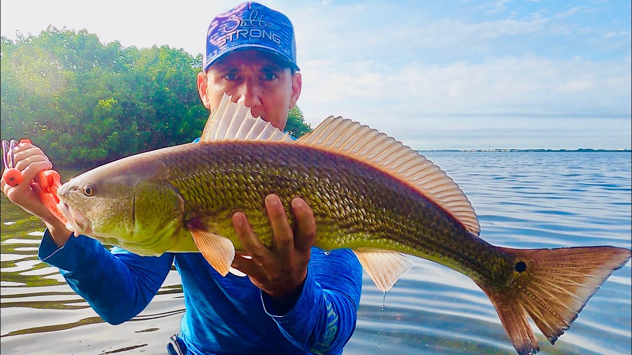 Catching Redfish in Florida: Exciting Slot Redfish Adventure - YouTube