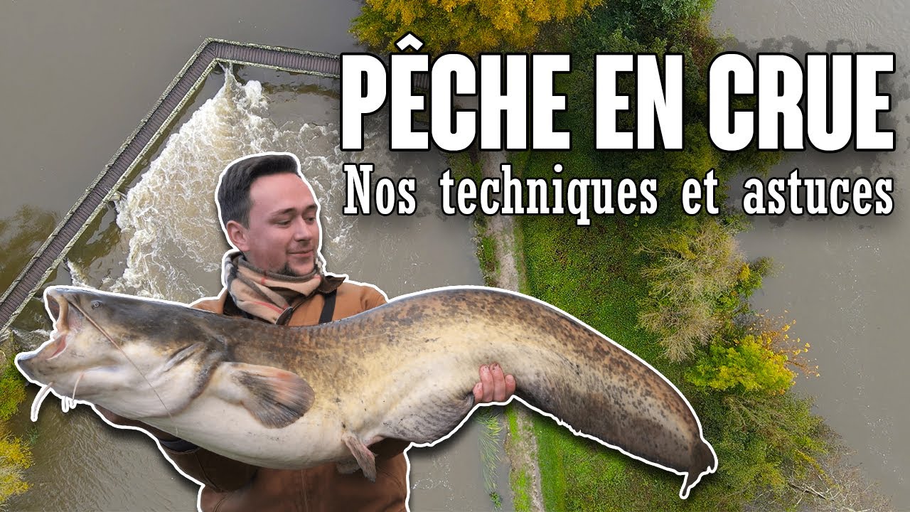 Comment PÊCHER en période de CRUE ?! Les GROS POISSONS sont de sortie ...