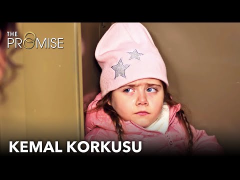 Masal'ın Kemal korkusu | Yemin 323. Bölüm
