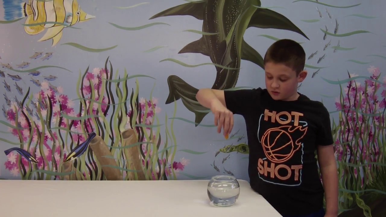 Goldfish Trick - YouTube