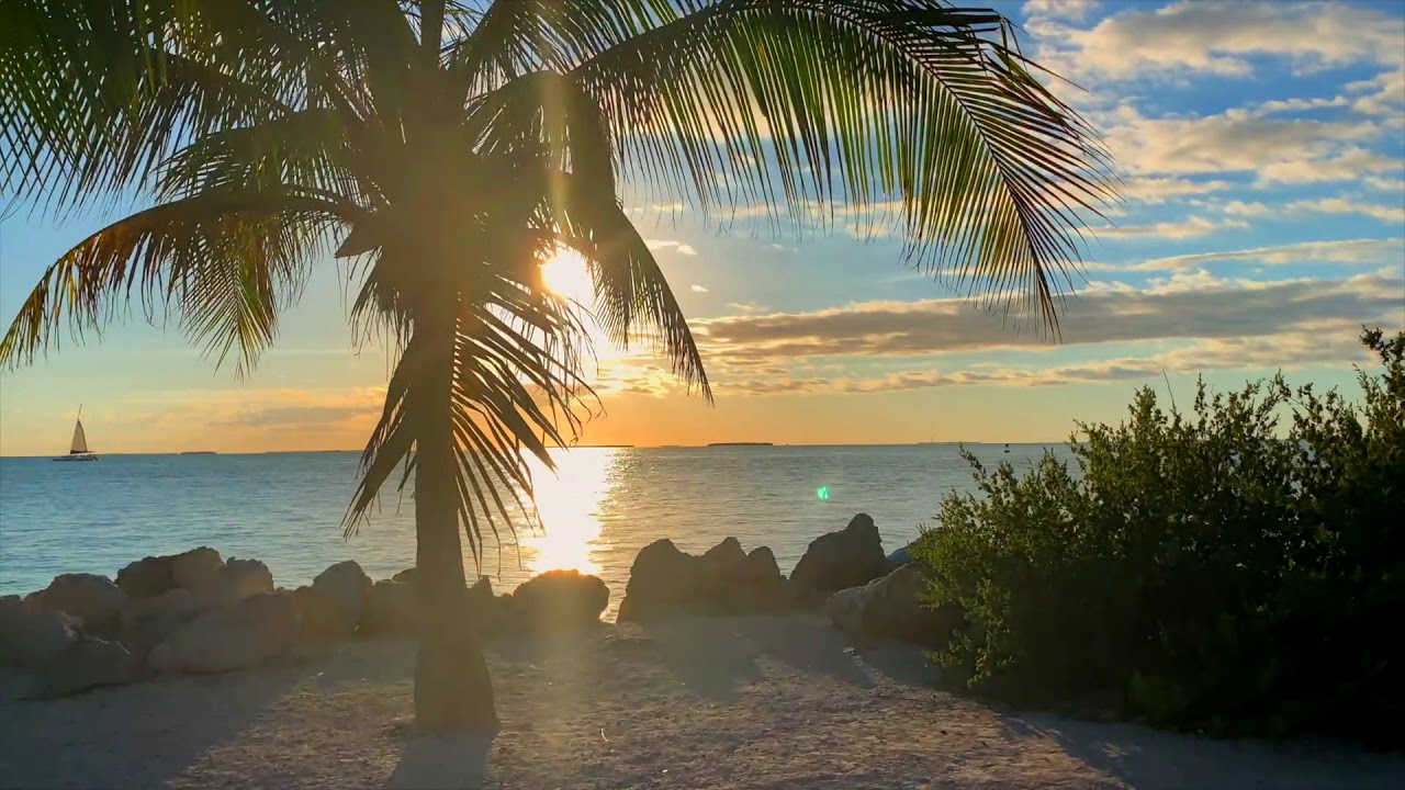 Playa relajante 🌴🌊 - Duerme, medita Calma tu mente 😴 - YouTube