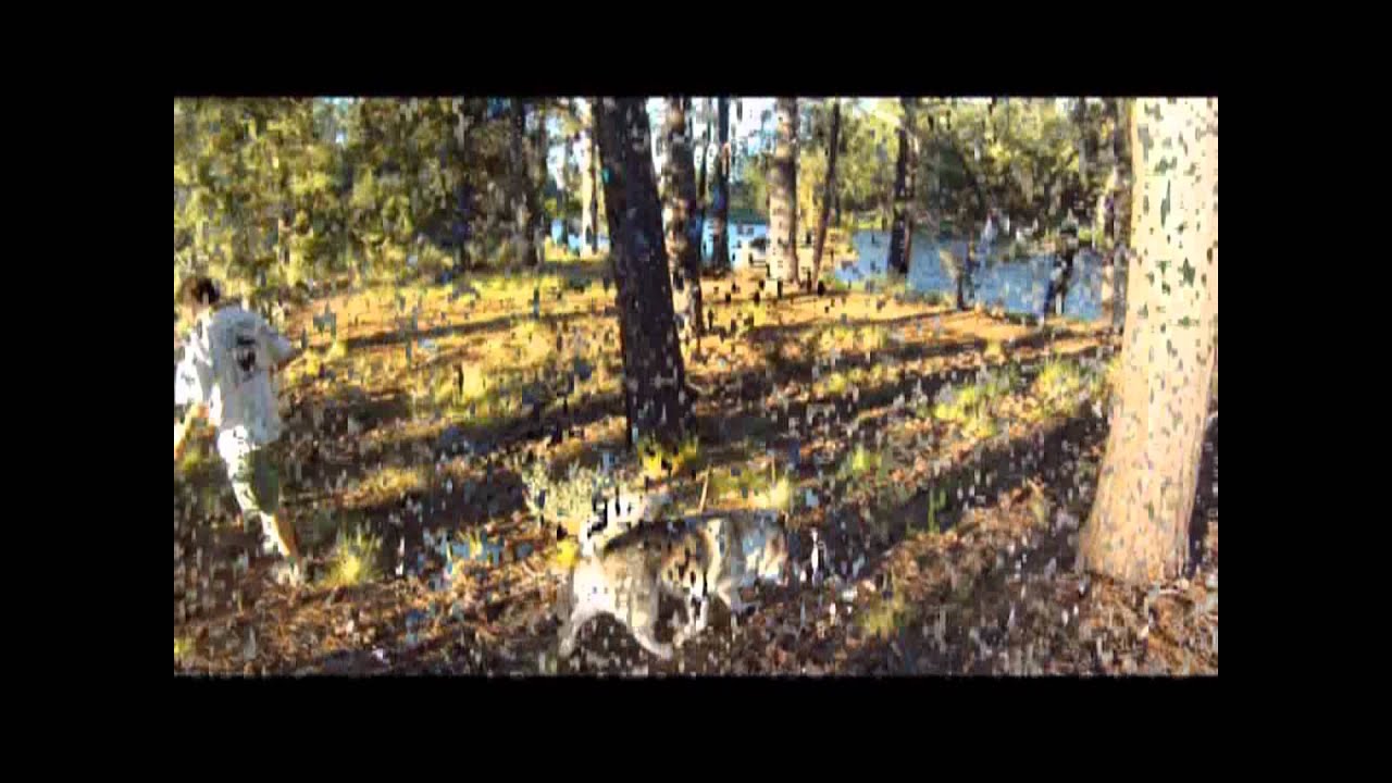 Hiking with your dog at RimRock Trail System (Good Dog!), Bend, Oregon ...