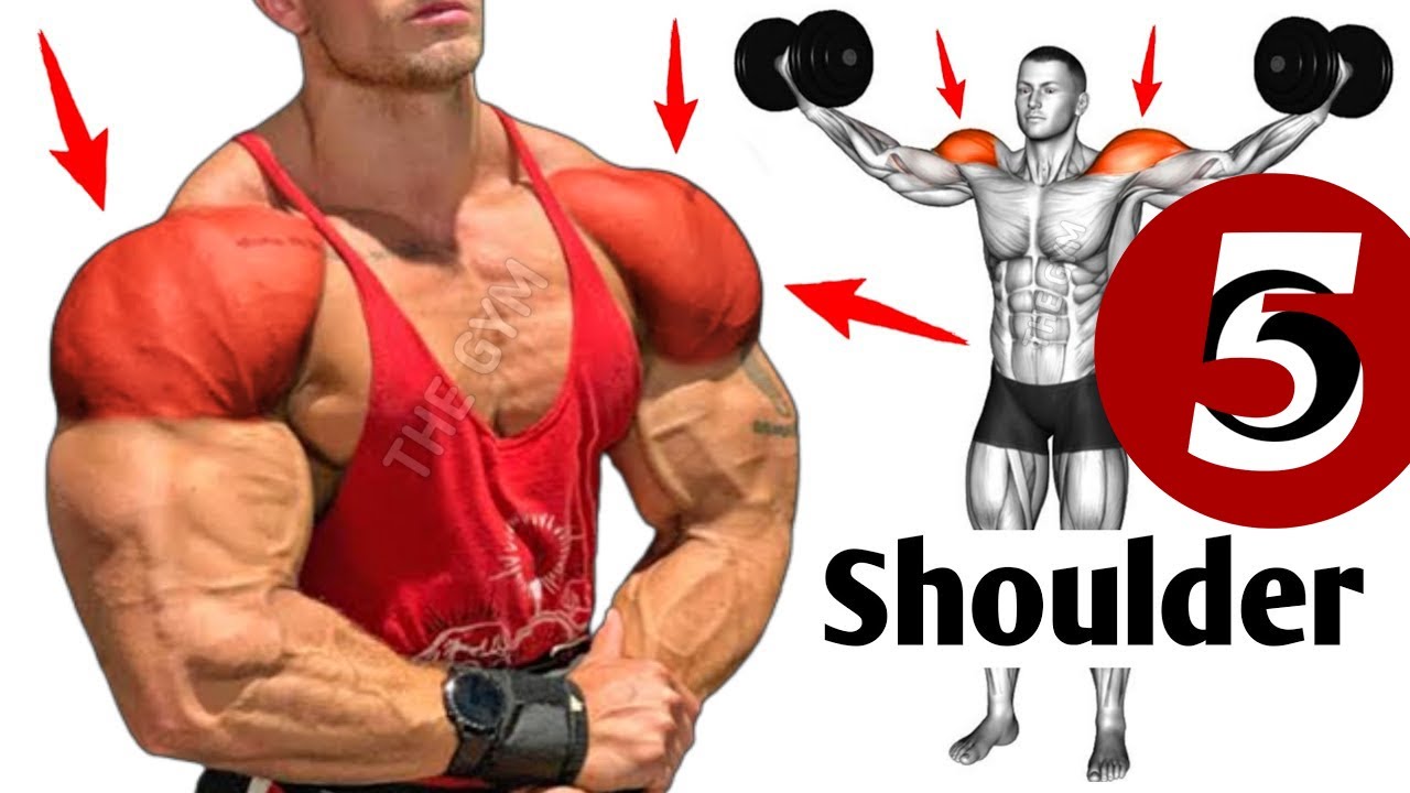 5 Bigger Shoulder Workout At Gym | body evolution - YouTube