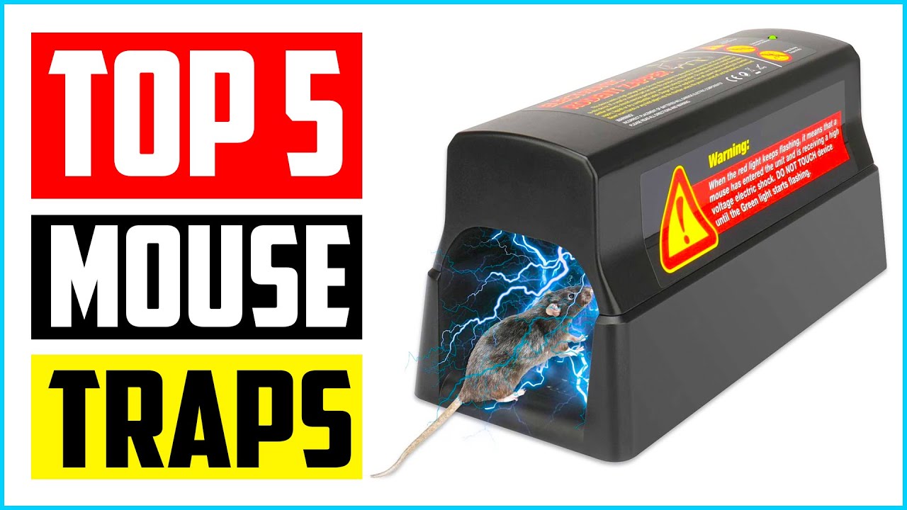 TOP 5 BEST ELECTRIC MOUSE TRAPS IN 2021 REVIEWS - YouTube