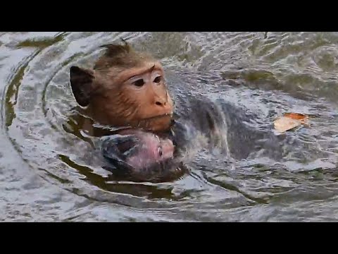 God help baby Jasper! Baby nearly drown in water by Julina tight hug baby swimming with no breath