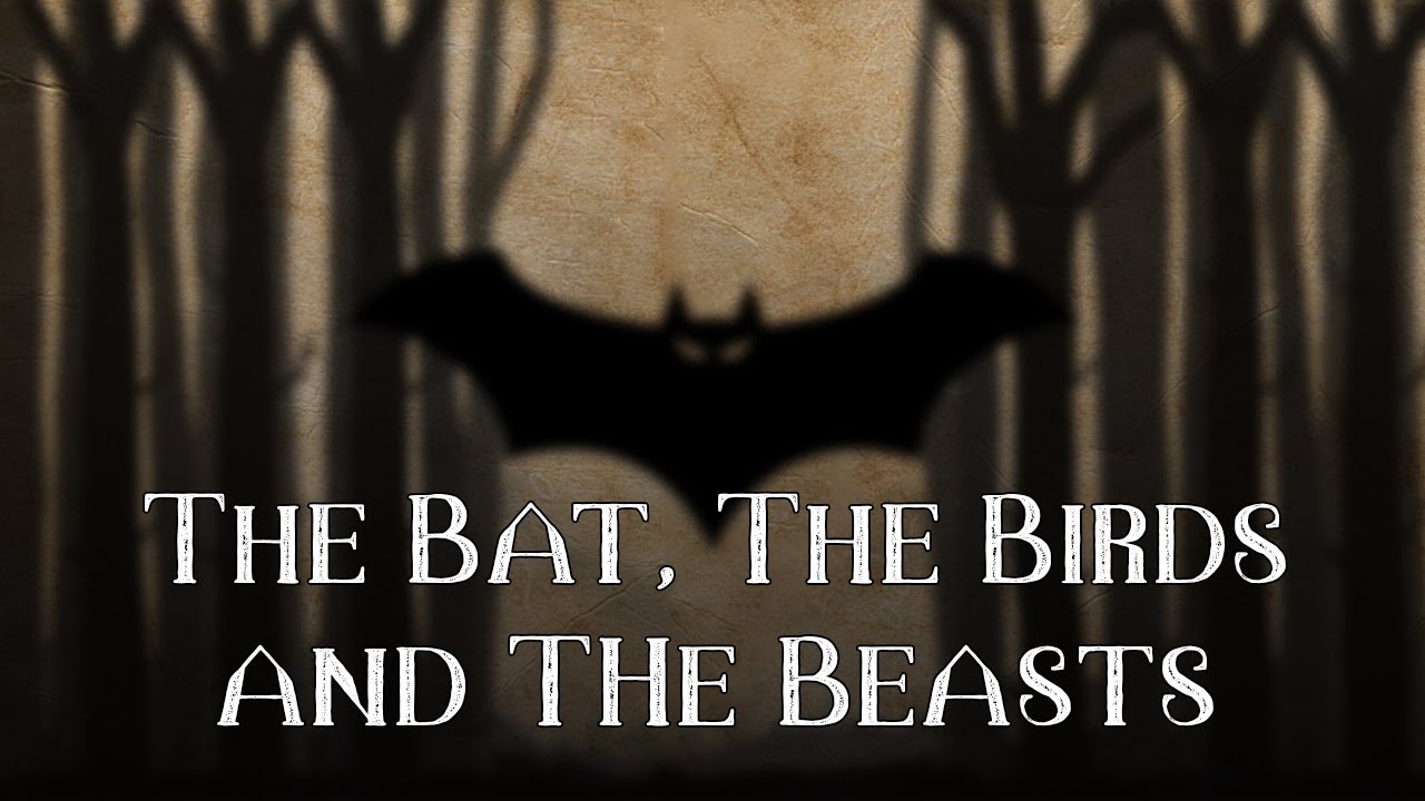 S1E3: The Bat, the Birds, and the Beasts - YouTube