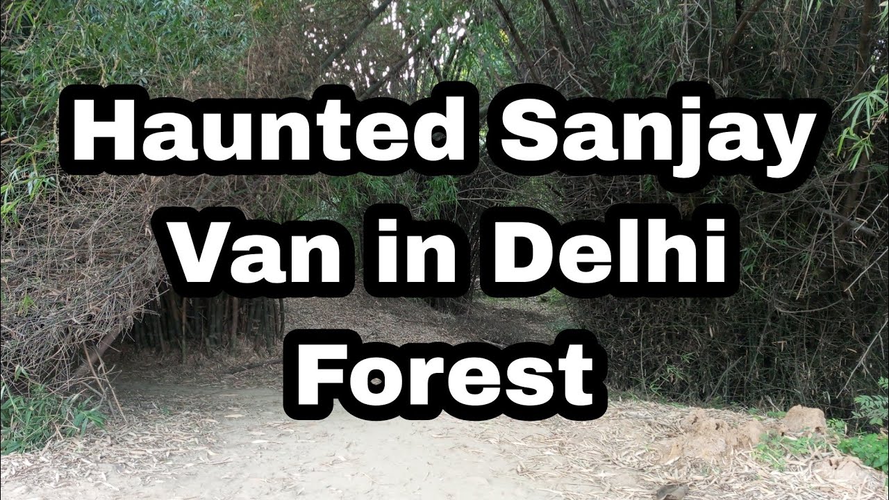 Sanjay Van South Delhi 🌹🔥🌹 Near Gourkhnath Mandir 🌹🔥🌹 Biggest Forest ...