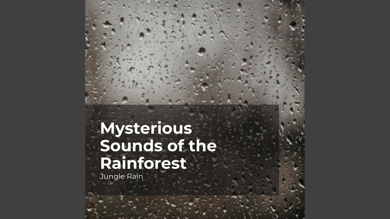 Somber Forest Jungle - YouTube