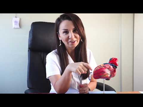 Ürəyimiz necə işləyir?