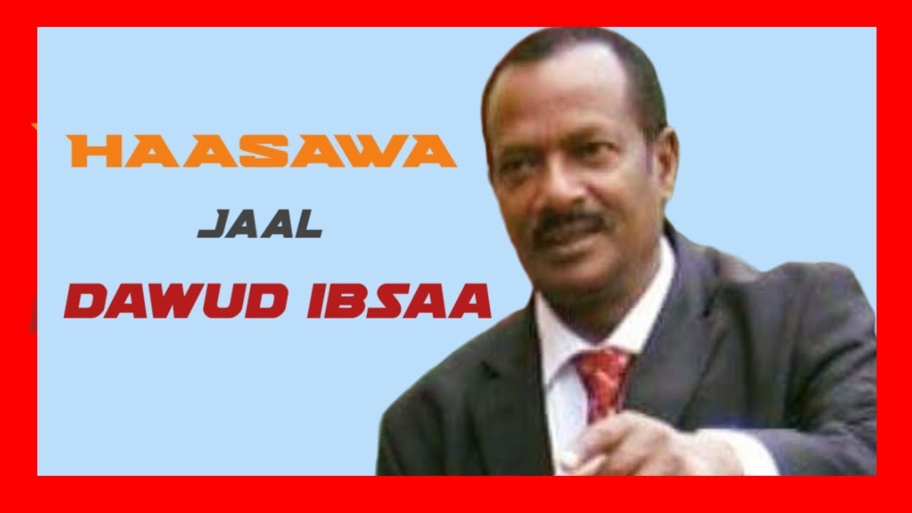 Haasawa Dawud Ibsa | Hayyu Duree Adda Bilisummaa Oromoo June 24/2022 ...