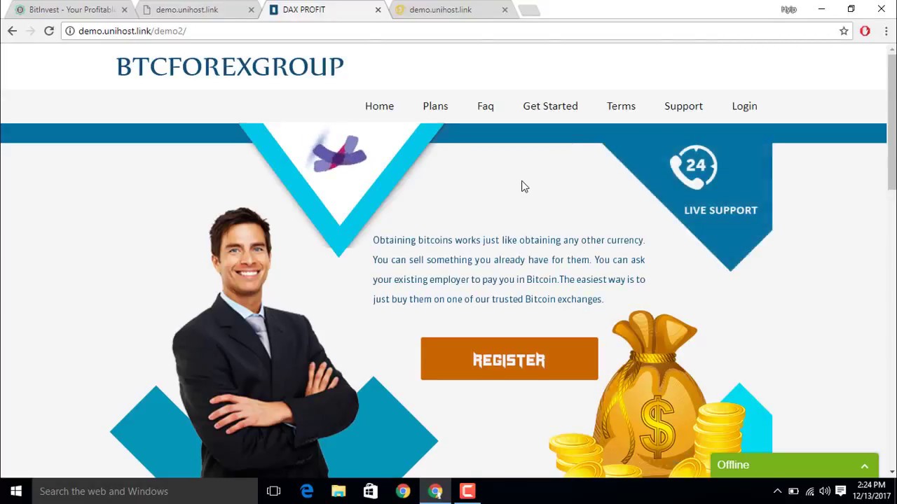Professional Hyip Template||Start your own hyip today||Hyip Solution ...