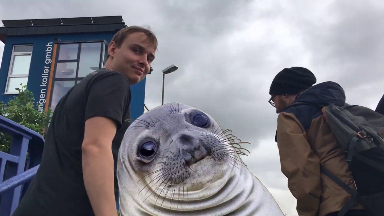 OX - Meme Compilation / Vlog #1 (CURSED VIDEO) - YouTube