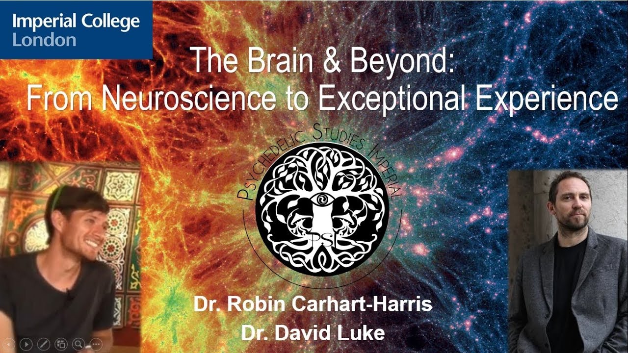 Psychedelics Debate 2017: The Brain and Beyond (Dr Robin Carhart-Harris ...