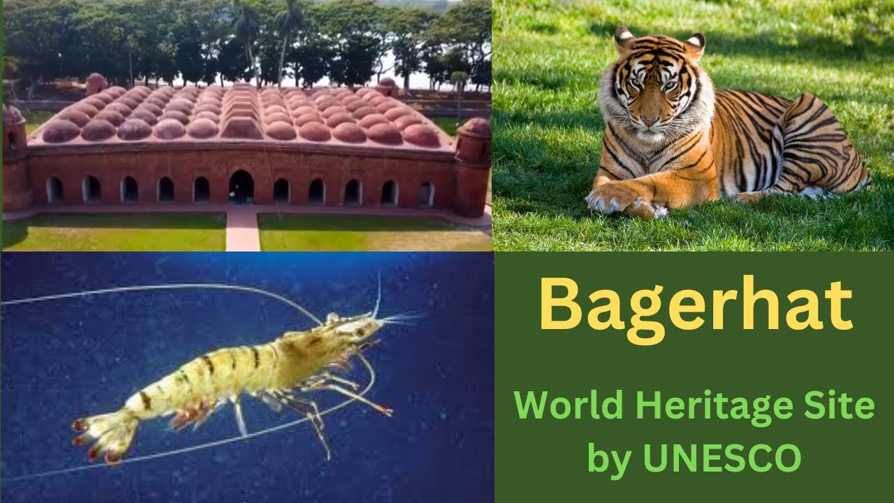 Nature, Environment and Lifestyle of Bagerhat, Bangladesh - YouTube