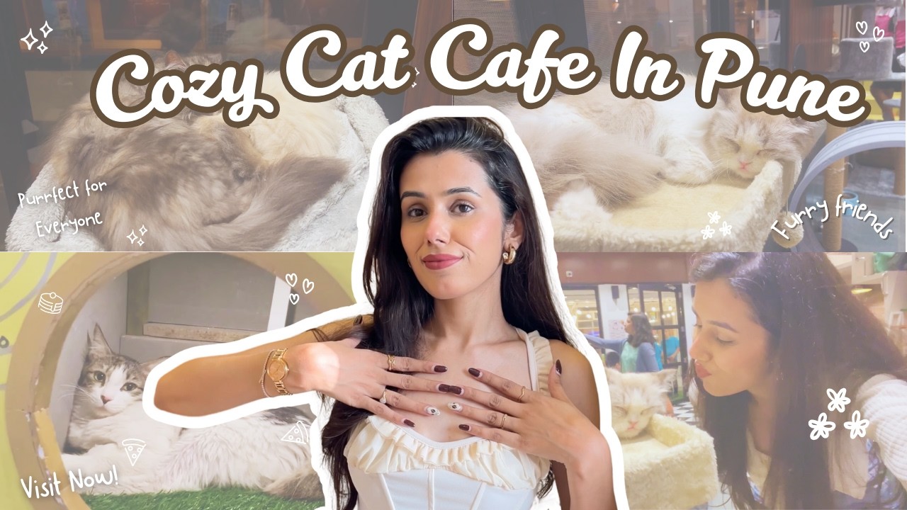 🐾 Visiting Pune’s Adorable New Cat Cafe! | Nine Lives Cat Café Vlog 🐱☕ ...