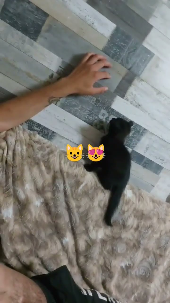 4 июля 2024 г. - YouTube