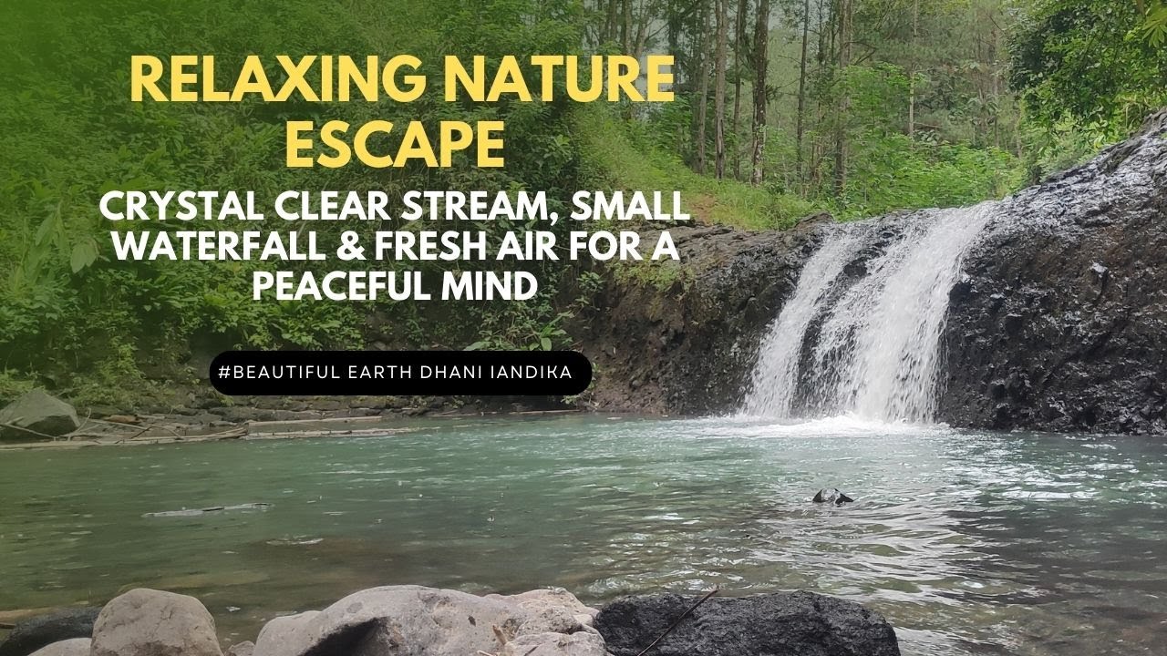 Relaxing Nature Escape: Crystal Clear Stream, Small Waterfall & Fresh ...