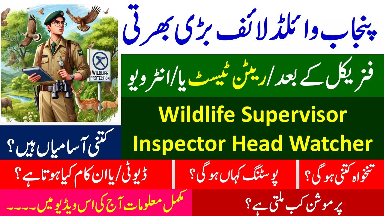 Punjab Wildlife Jobs 2025| Wildlife inspector Salary Duty Responsibilities| jobs in Pakistan ...