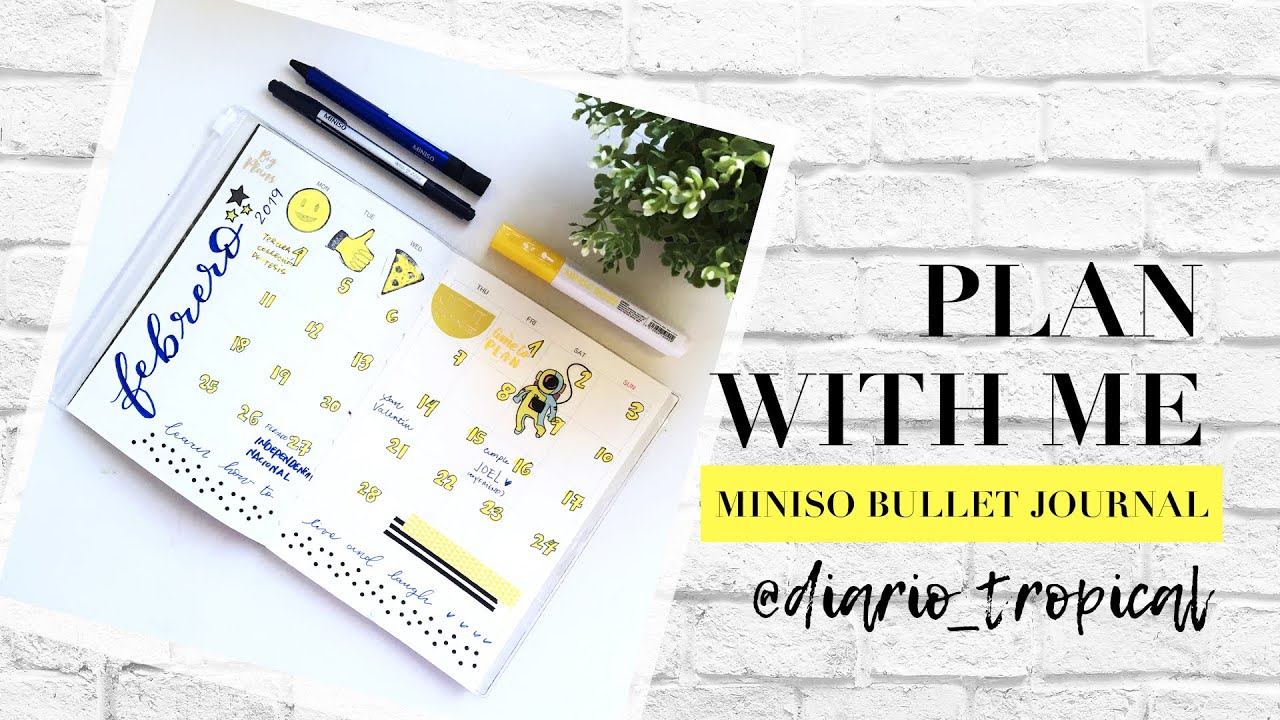 PLAN WITH ME | MINISO MINI HAUL | INEXPENSIVE BULLET JOURNAL | Monthly ...