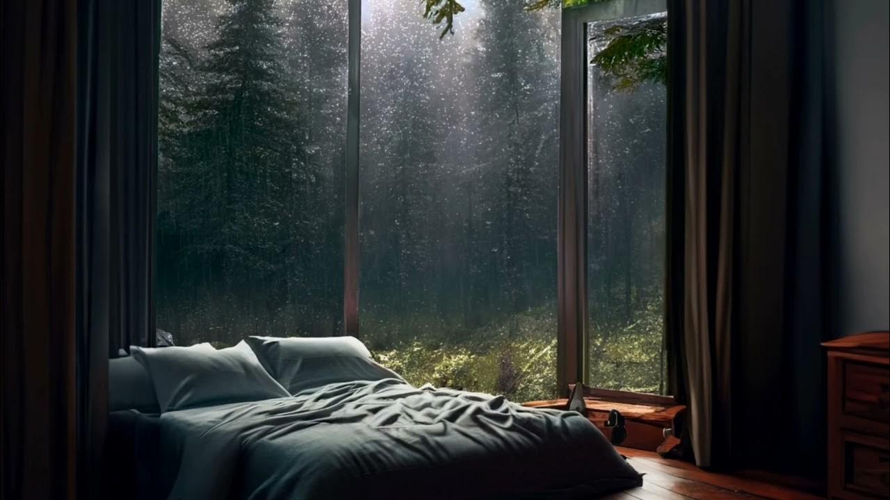 Suara Hujan And Guntur Untuk Tidur Kamar Tidur Nyaman Di Tengah Hutan Youtube