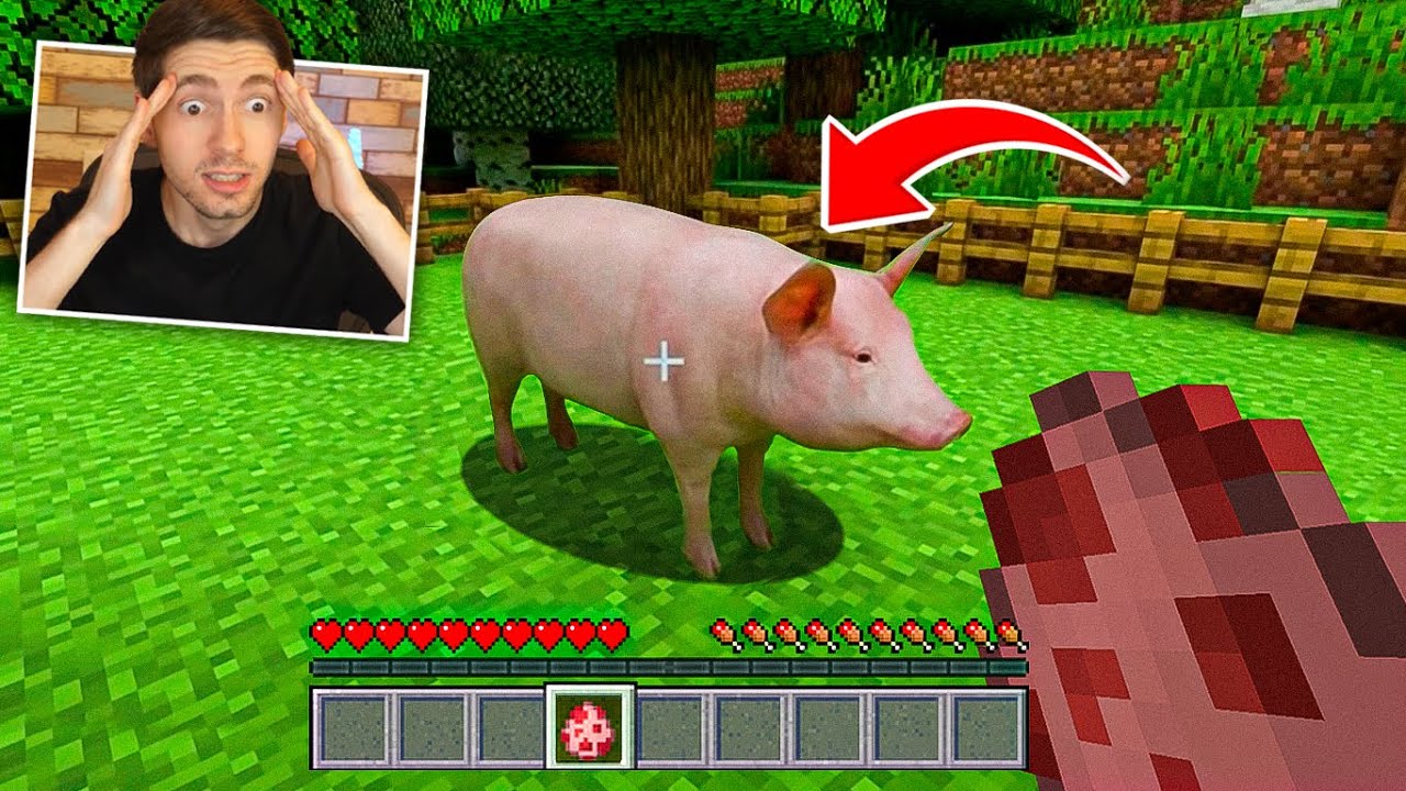 O PORCO SUPER REALISTA no MINECRAFT!!! (INÉDITO) - YouTube