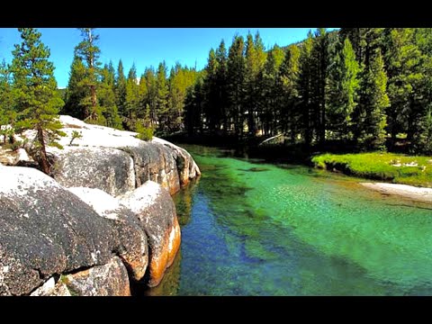 Party Rock" (John Muir Rock) - YouTube