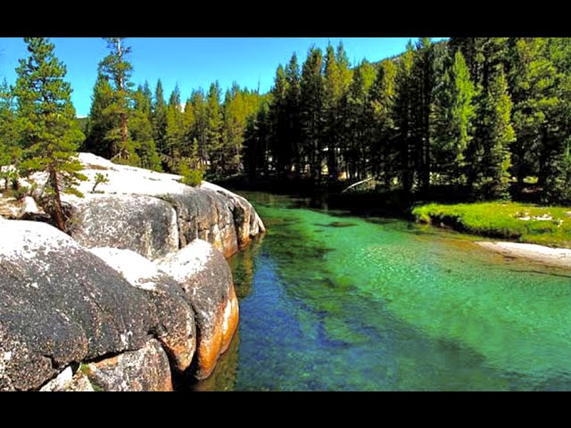 Muir Rock Kings Canyon The Best Easy Hikes In Sequoia & Kings Canyon