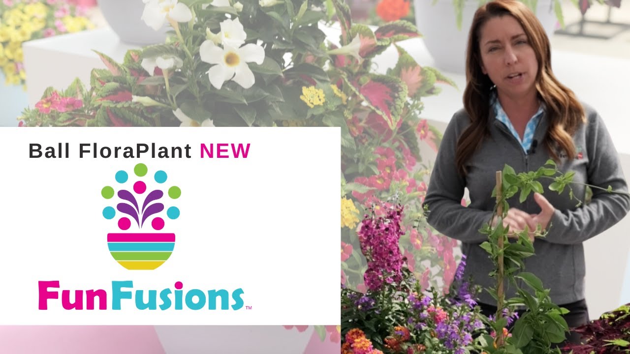 New FunFusions Mixes for 2025 from Ball FloraPlant - YouTube