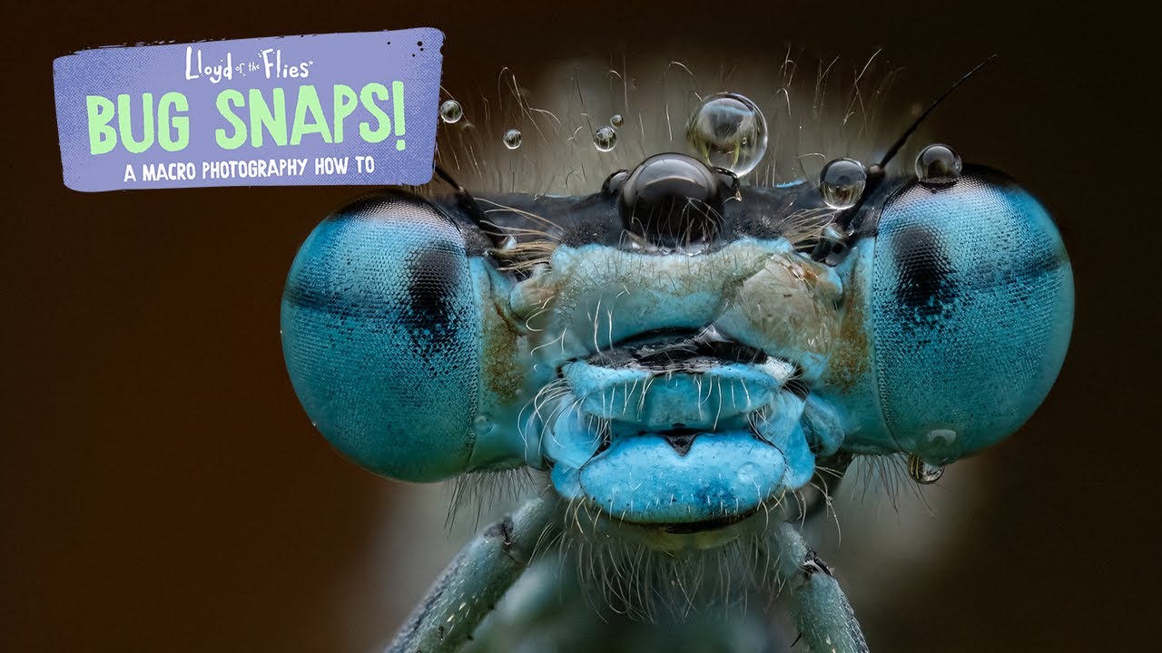 🐛 Bug Snaps: A Macro Photography How To 📷 Full Series - YouTube